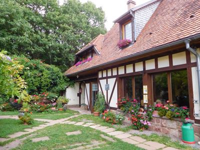 Randonnées à cheval en Alsace - RELAIS EQUESTRE DU NEUFELD