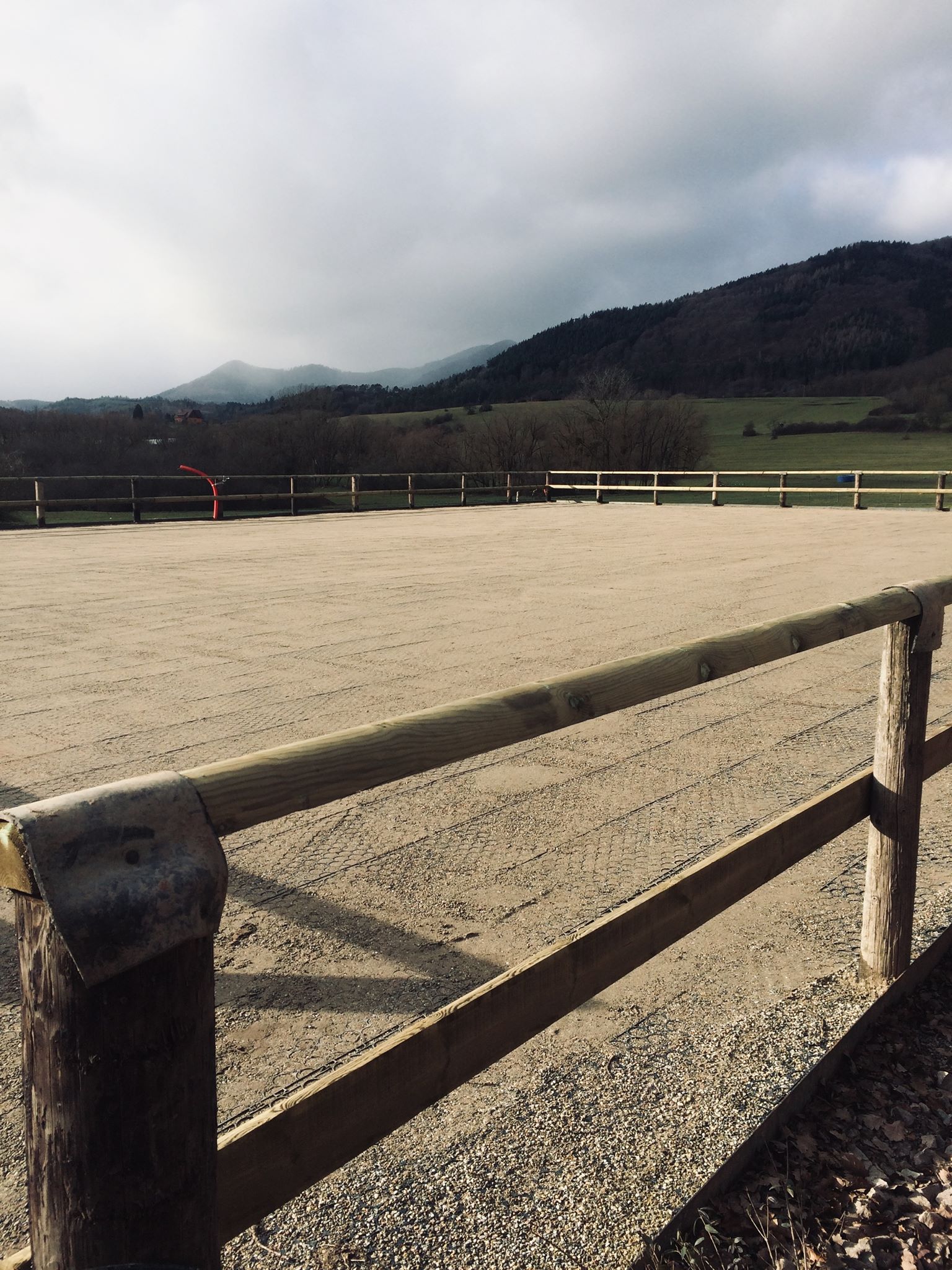 EQUITATION