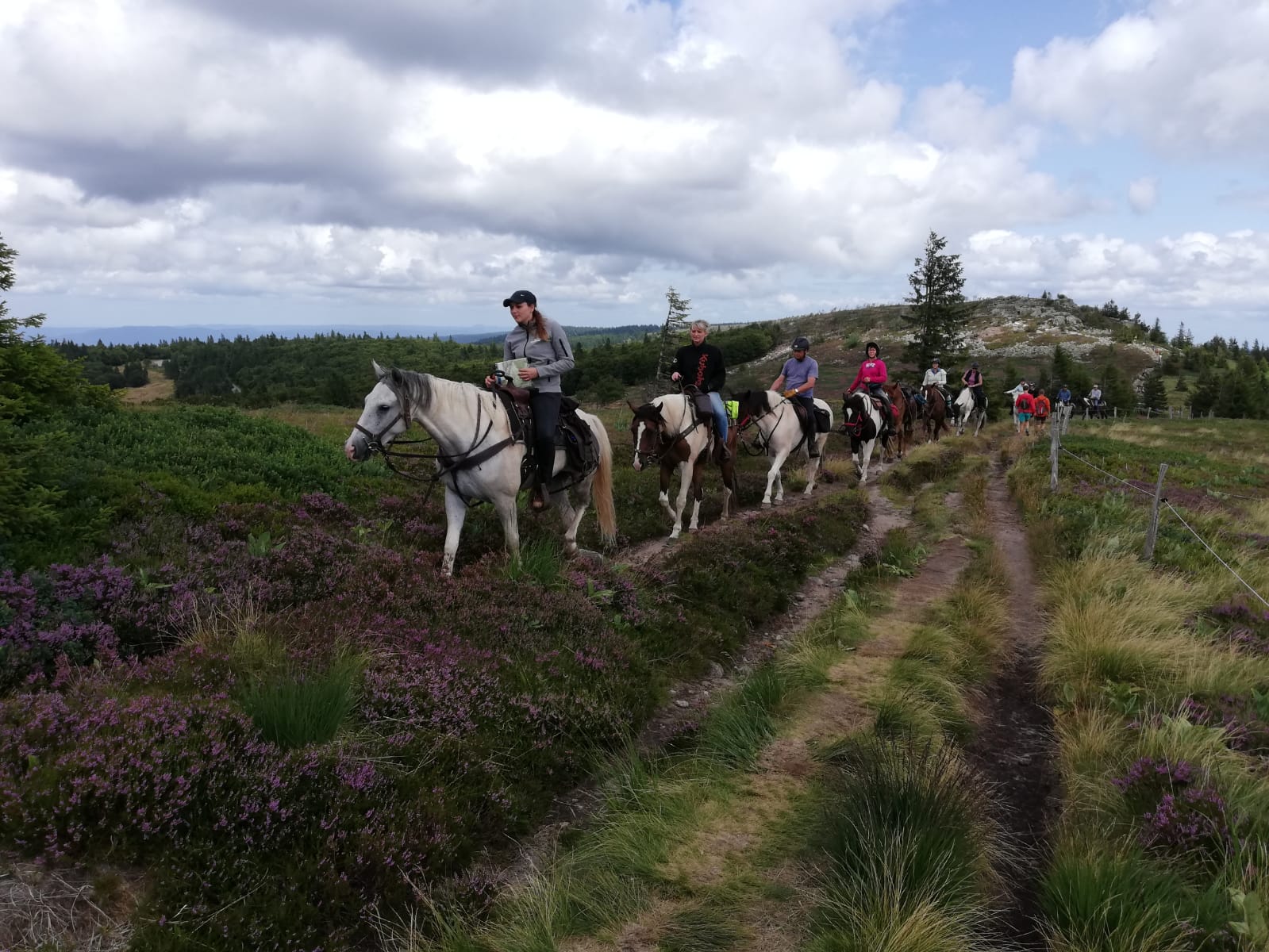 Randonnées à cheval en Alsace - RELAIS EQUESTRE DU NEUFELD