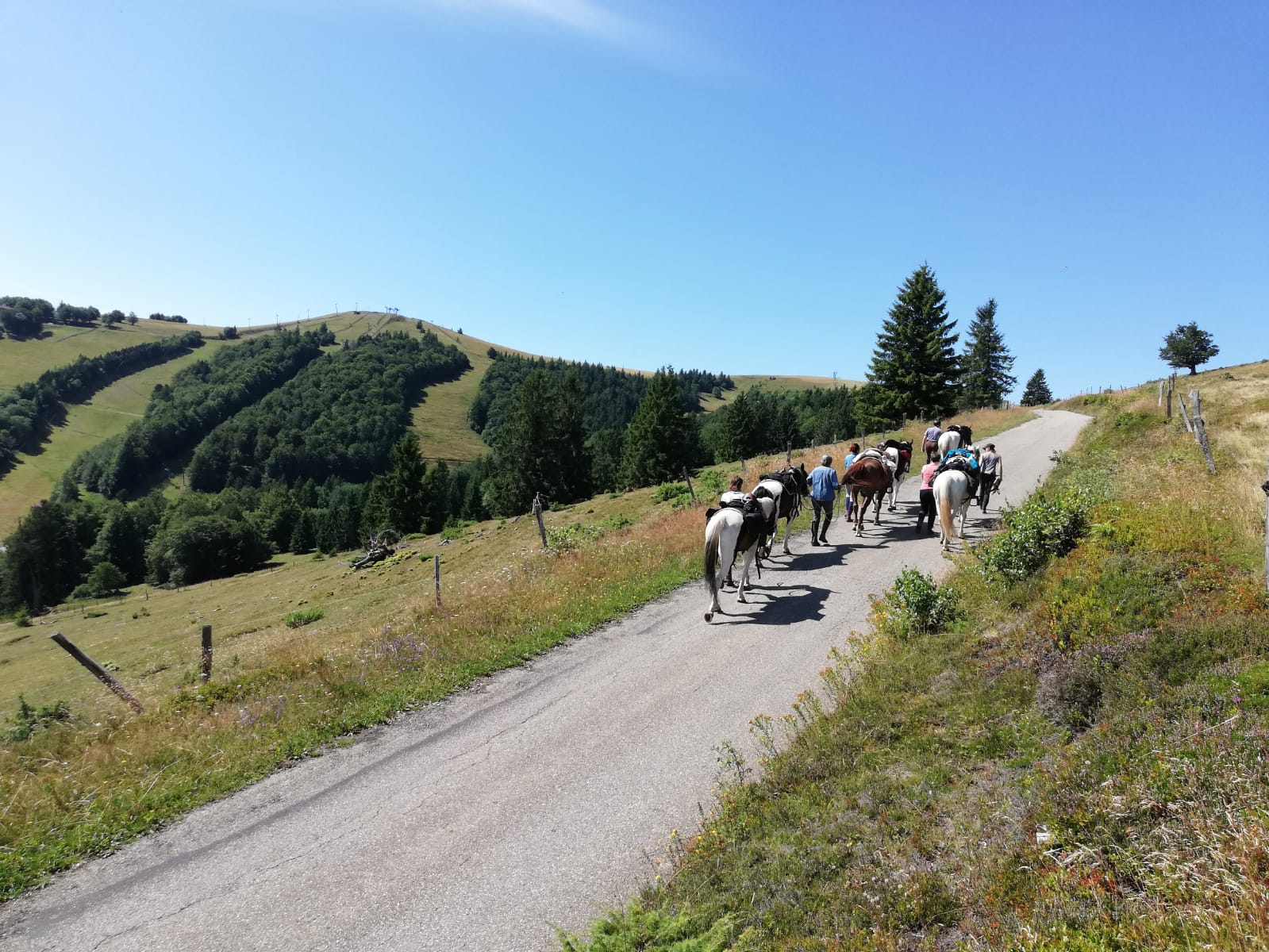 Randonnées à cheval en Alsace - RELAIS EQUESTRE DU NEUFELD