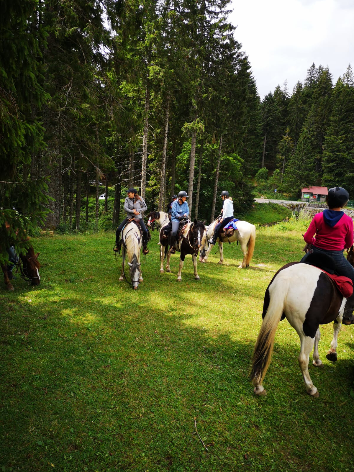 Randonnées à cheval en Alsace - RELAIS EQUESTRE DU NEUFELD