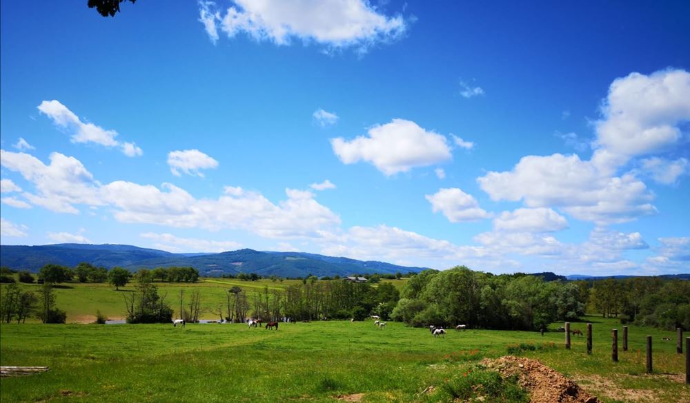 Randonnées à cheval en Alsace - RELAIS EQUESTRE DU NEUFELD