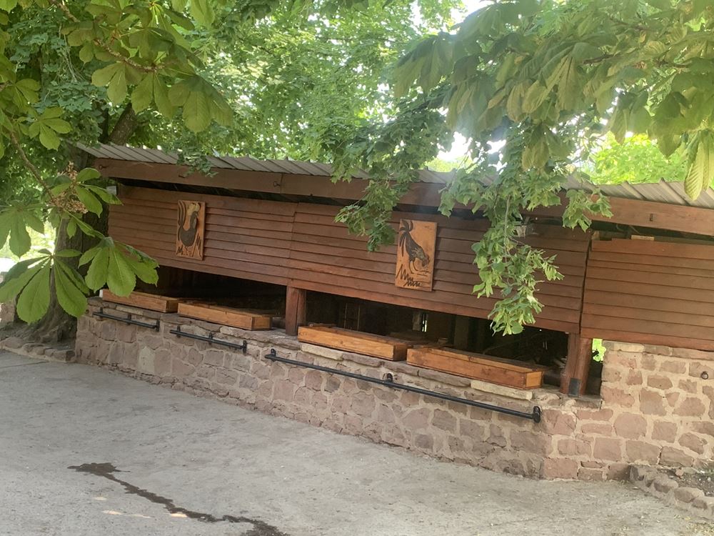 Randonnées à cheval en Alsace - RELAIS EQUESTRE DU NEUFELD