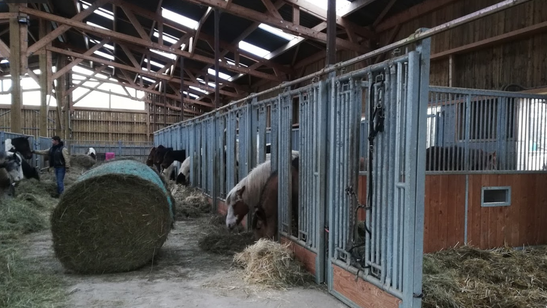 EQUITATION
